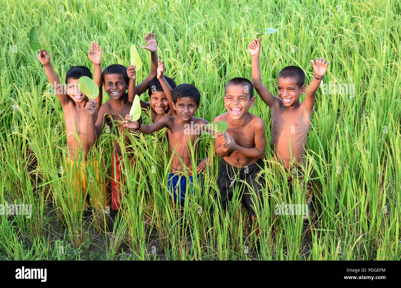Happiness - Children are enjoying in the paddy field Stock Photo - Alamy