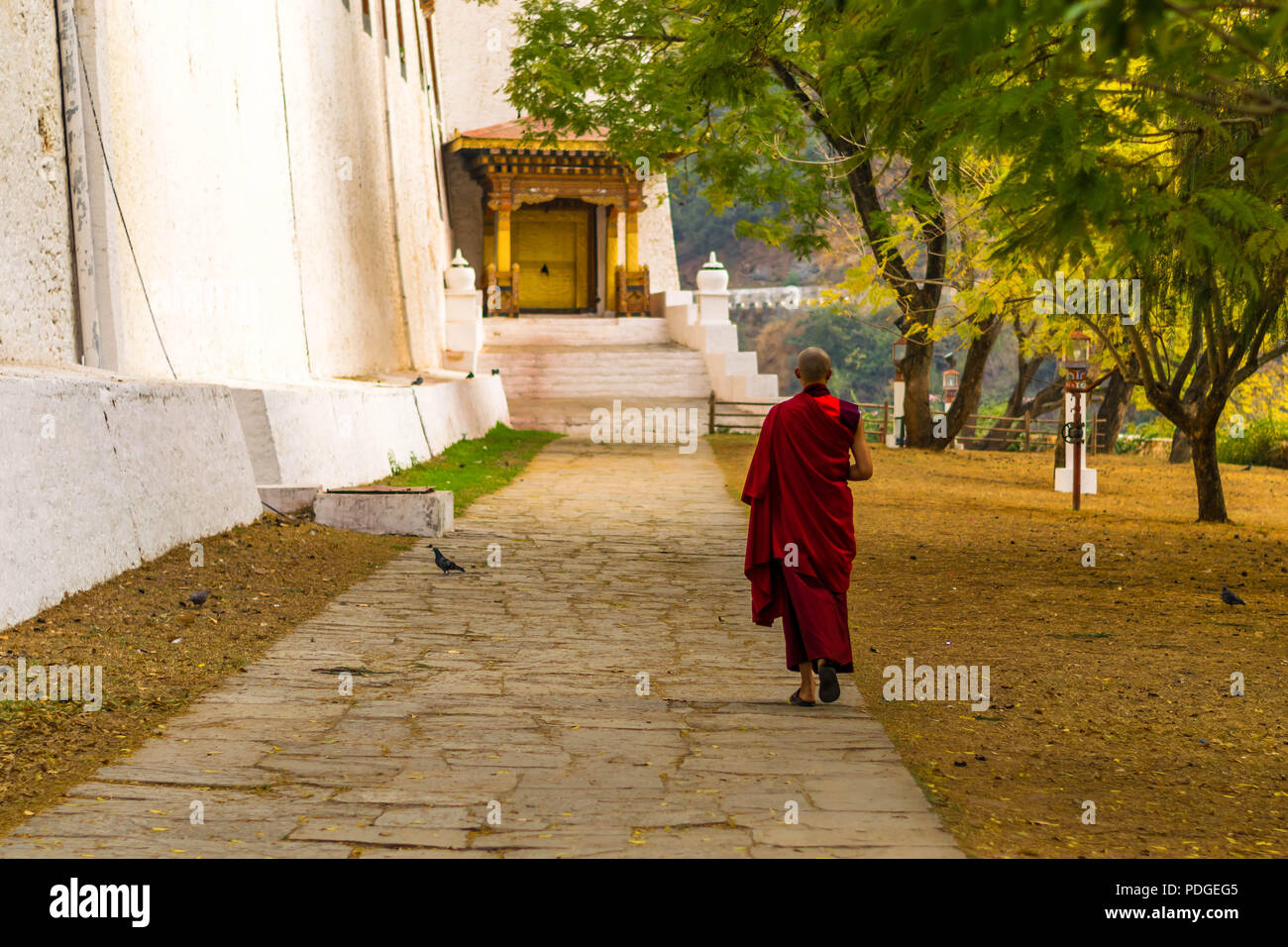 Buddhist Monk at Punakha Monastery in Bhutan Stock Photo - Alamy