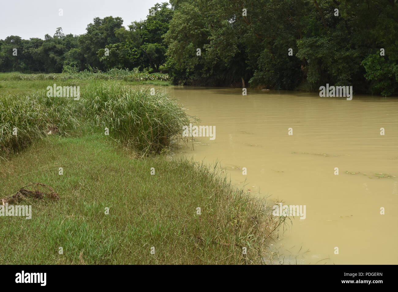 Kopai hi-res stock photography and images - Alamy