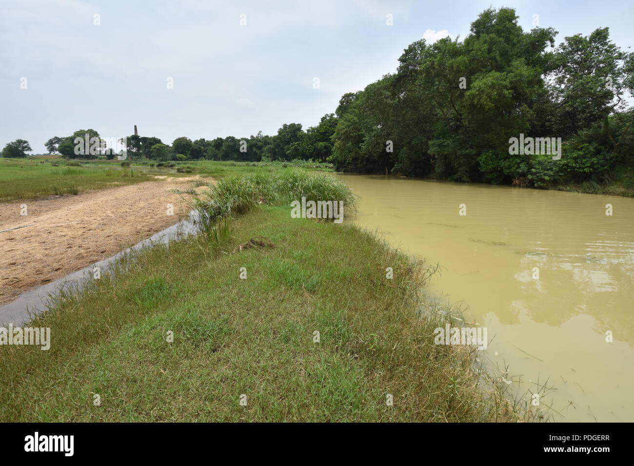 Kopai hi-res stock photography and images - Alamy