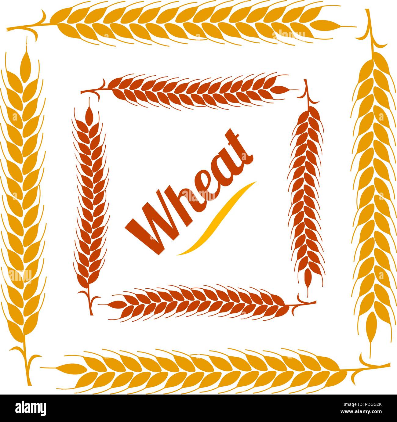 Color vegetable square frame. border of gold ears of wheat on white ...