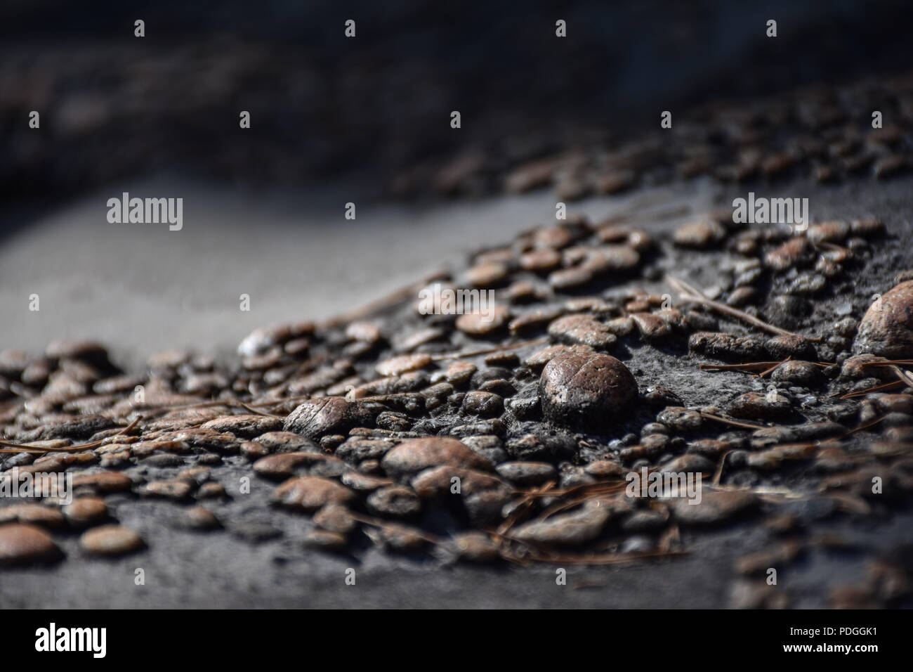 Macro view of small brown pebbles on a rock, with dry pine needles ...
