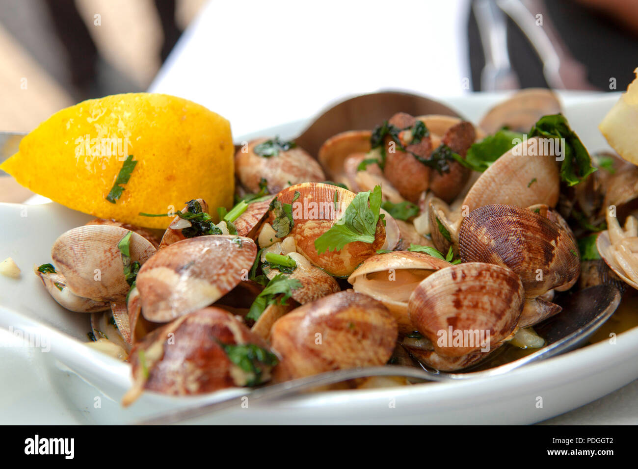Concha douro hi-res stock photography and images - Alamy