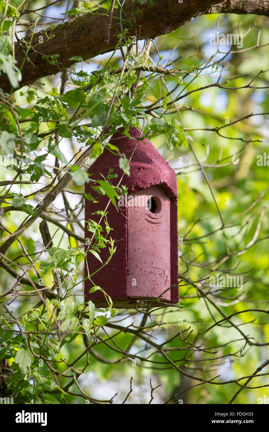 Concrete nesting box hi-res stock photography and images - Alamy