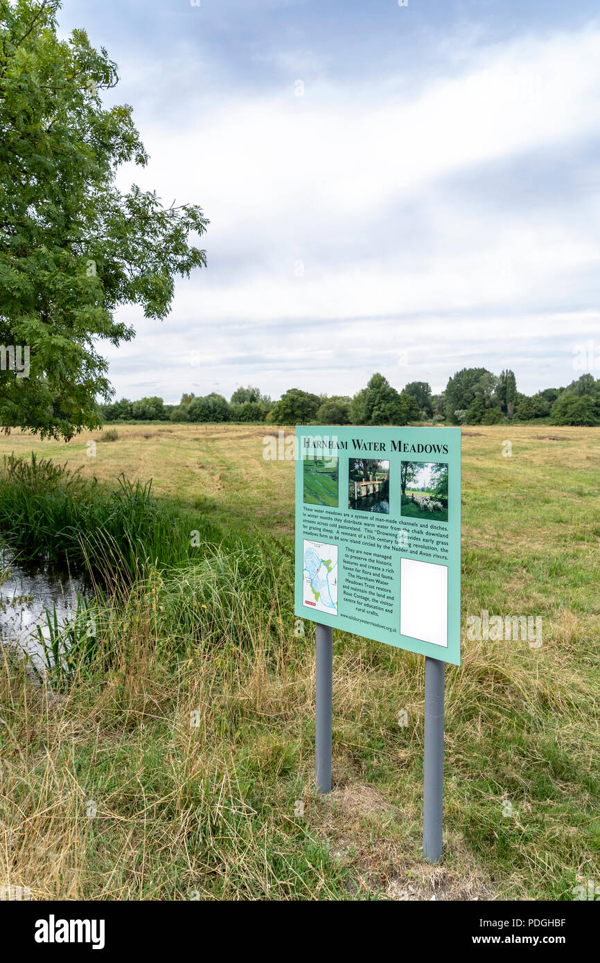 Water meadows hi-res stock photography and images - Alamy