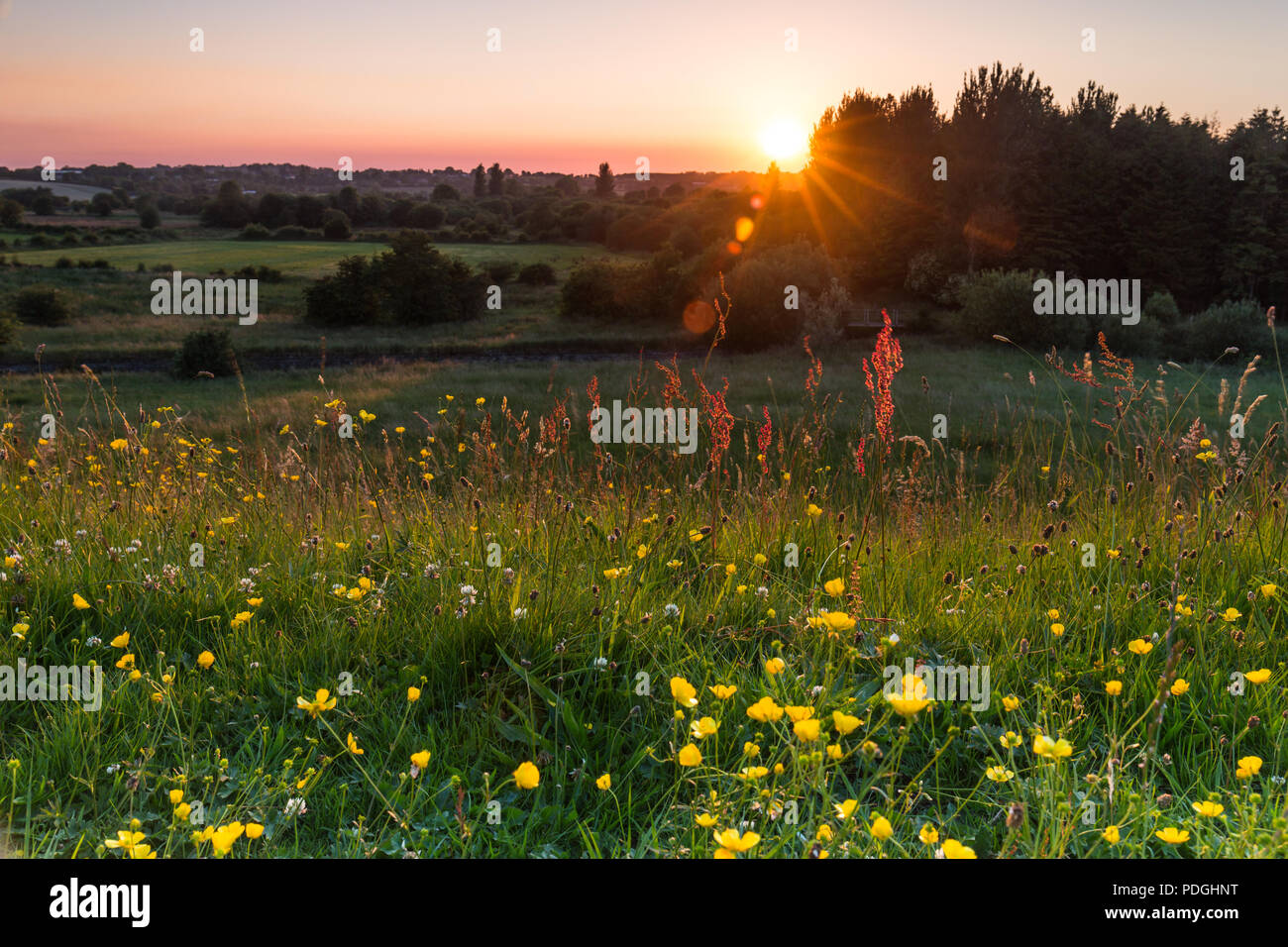Sun on the horizon hi-res stock photography and images - Alamy