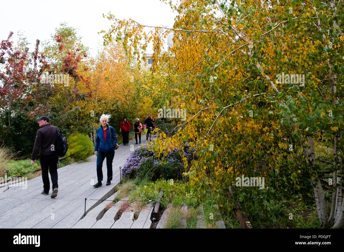 Walking the High Line in the fall Stock Photo - Alamy