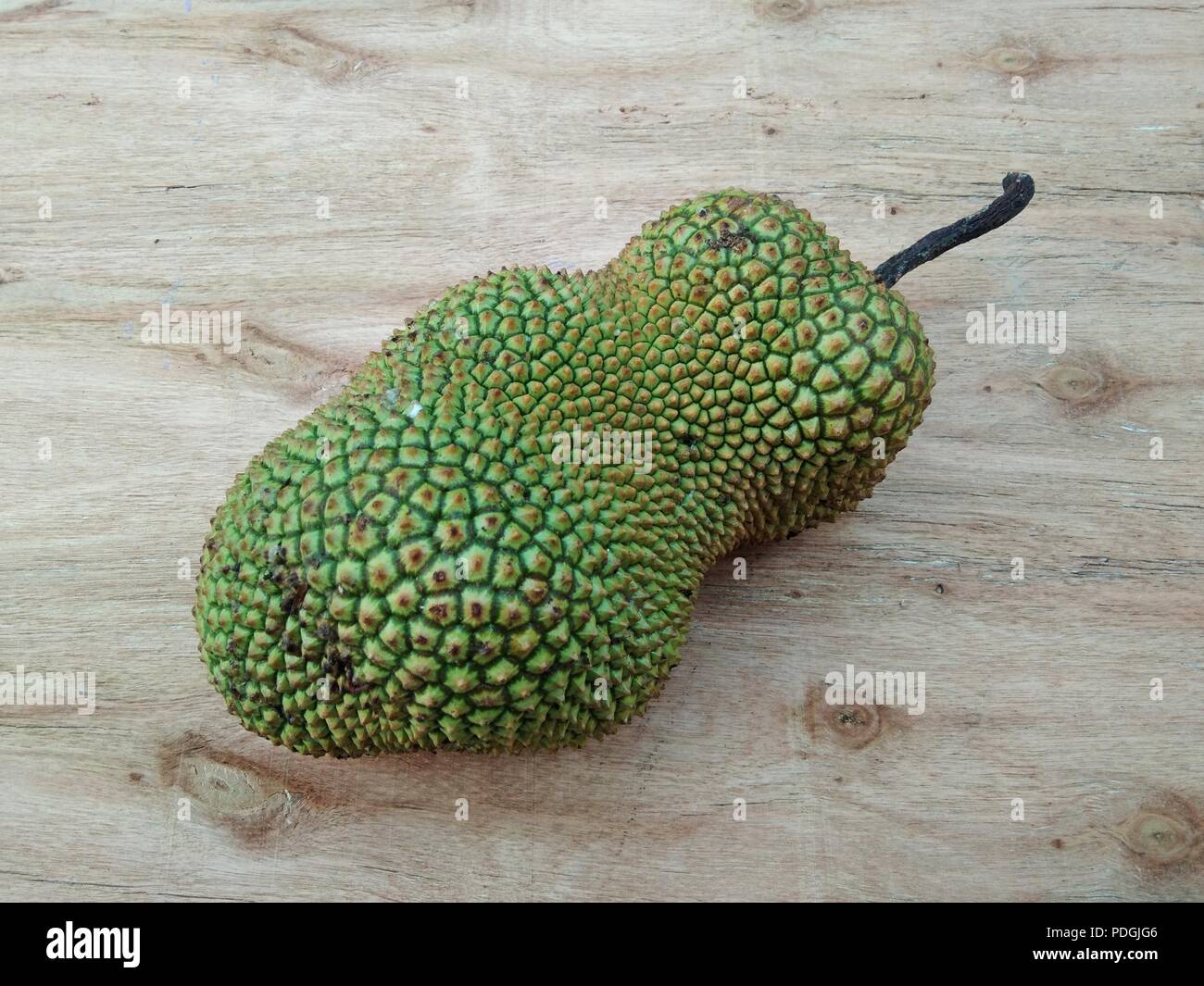 the jackfruit, a tropical fruit Stock Photo - Alamy