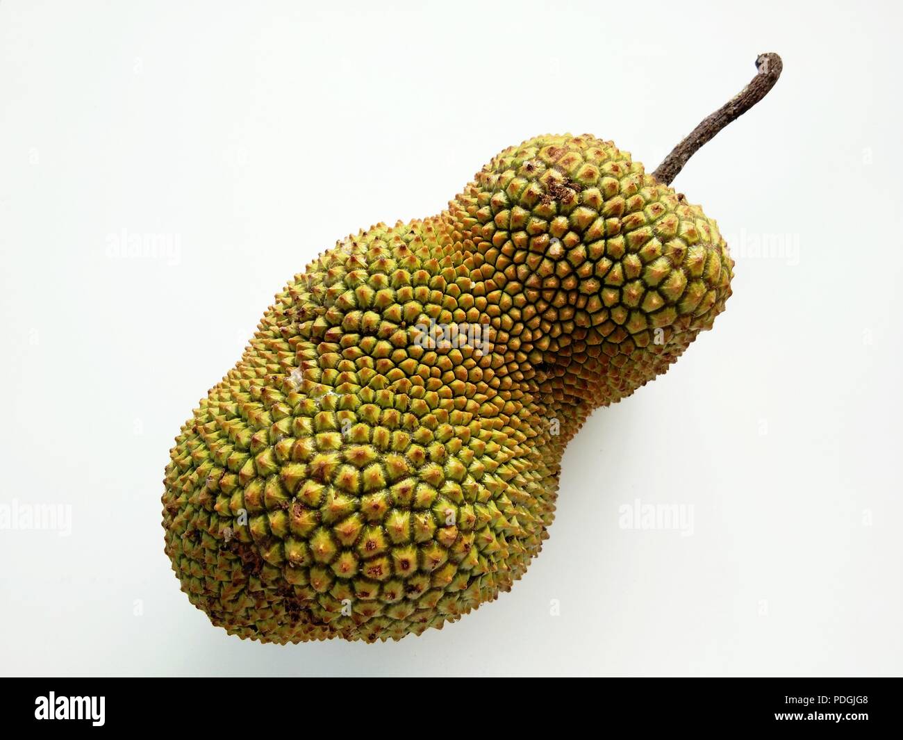 Jackfruit hi-res stock photography and images - Alamy