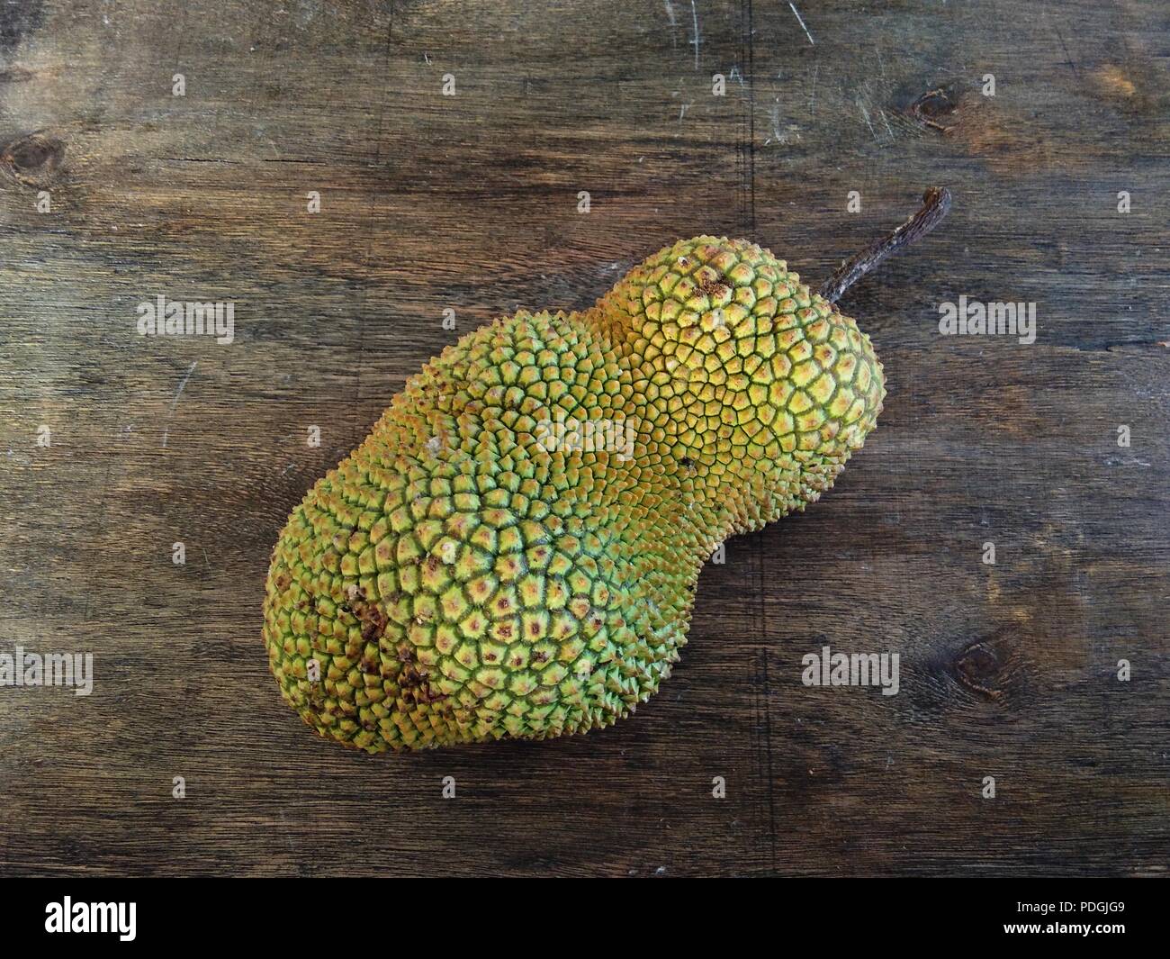 the jackfruit, a tropical fruit Stock Photo - Alamy