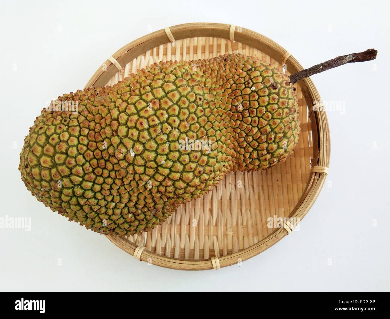 the jackfruit, a tropical fruit Stock Photo - Alamy