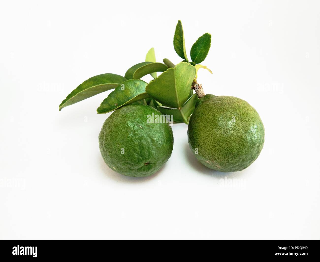 Kaffir lime fruits hi-res stock photography and images - Alamy