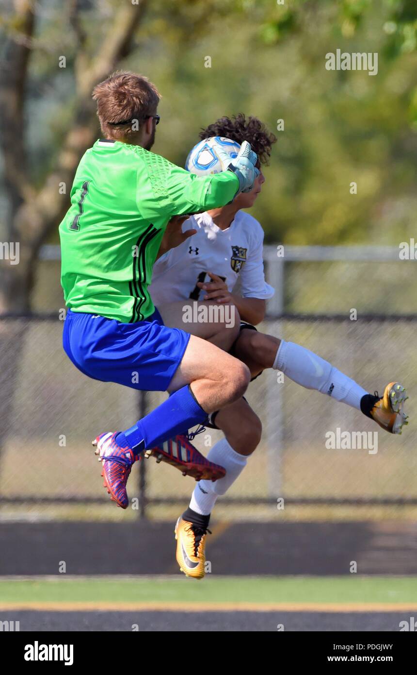 Leaping abilities hi-res stock photography and images - Alamy