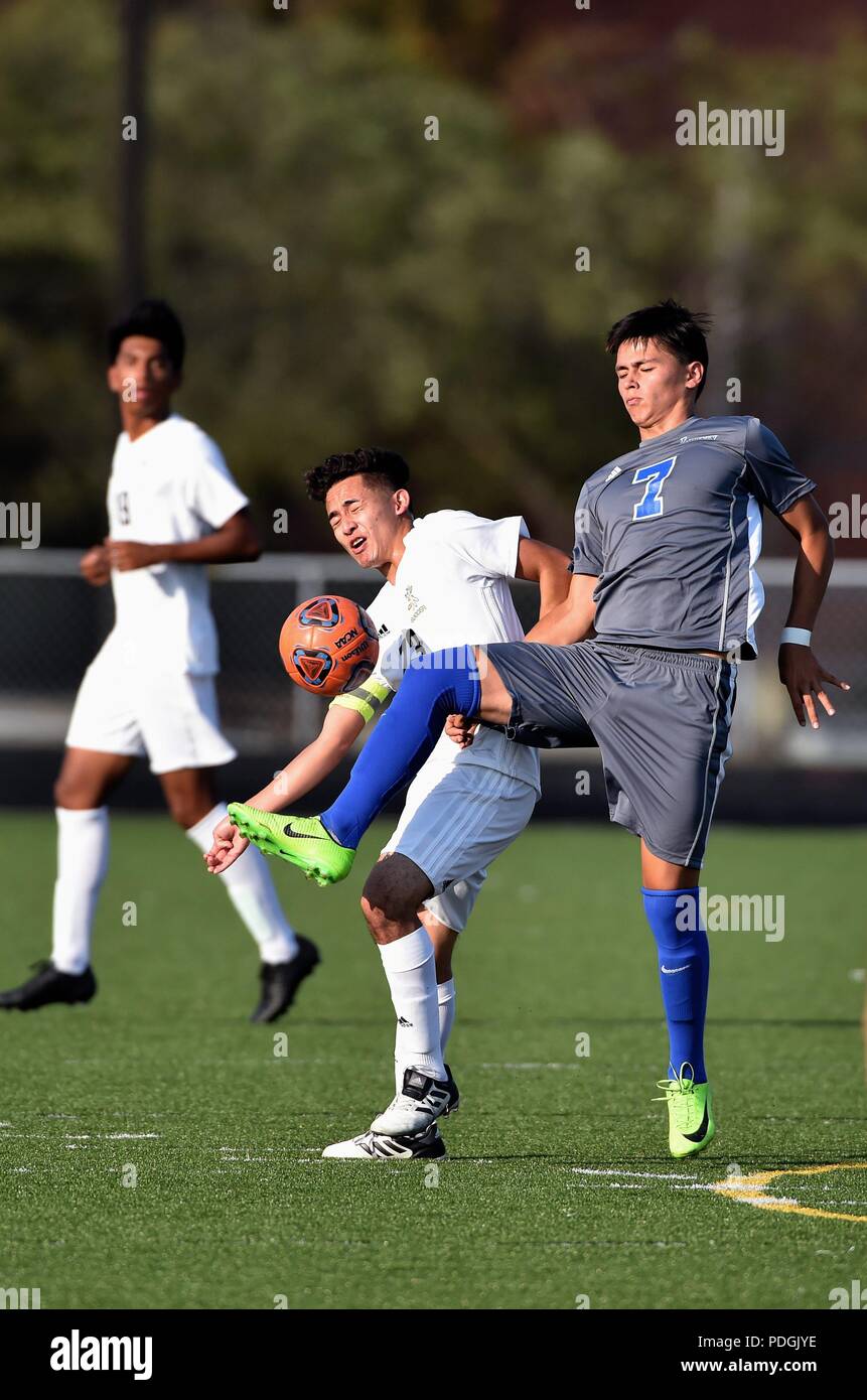 Athleticism hi-res stock photography and images - Alamy