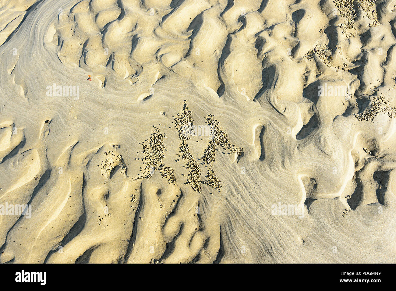 Abstract sand patterns at Thornton Beach, Daintree National Park, Cape ...