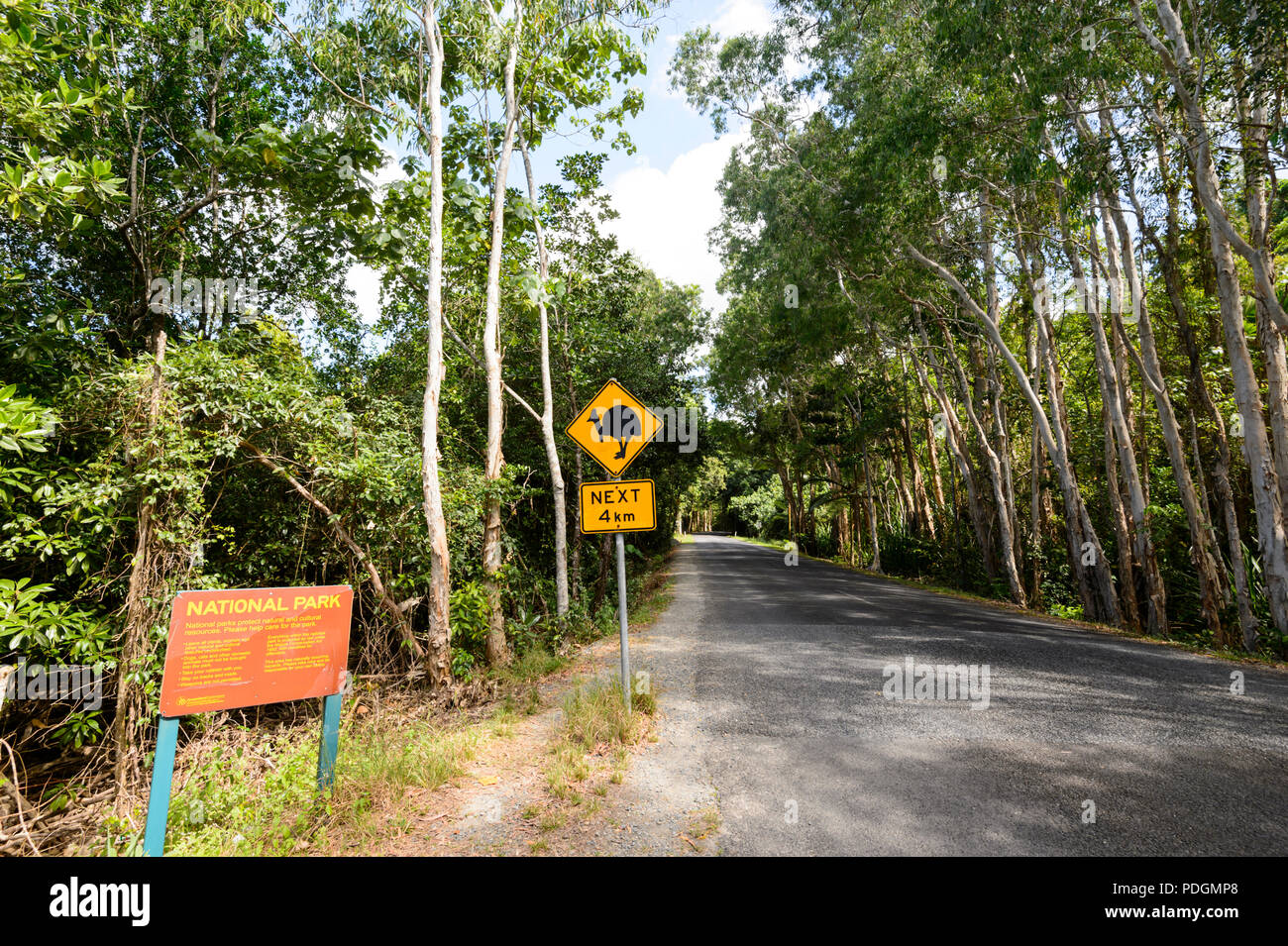 Road sign warning of cassowaries crossing the road, Daintree National ...