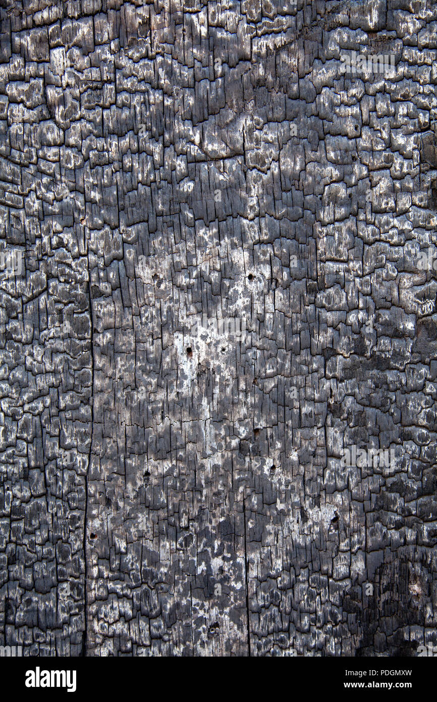 Burnt cracked wood texture hi-res stock photography and images - Alamy