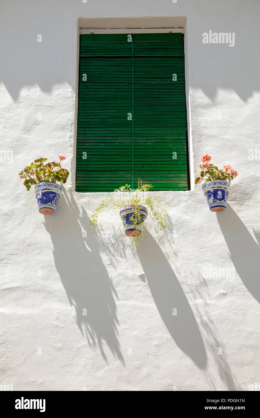 Green Shuttered Summer Window Stock Photo - Alamy