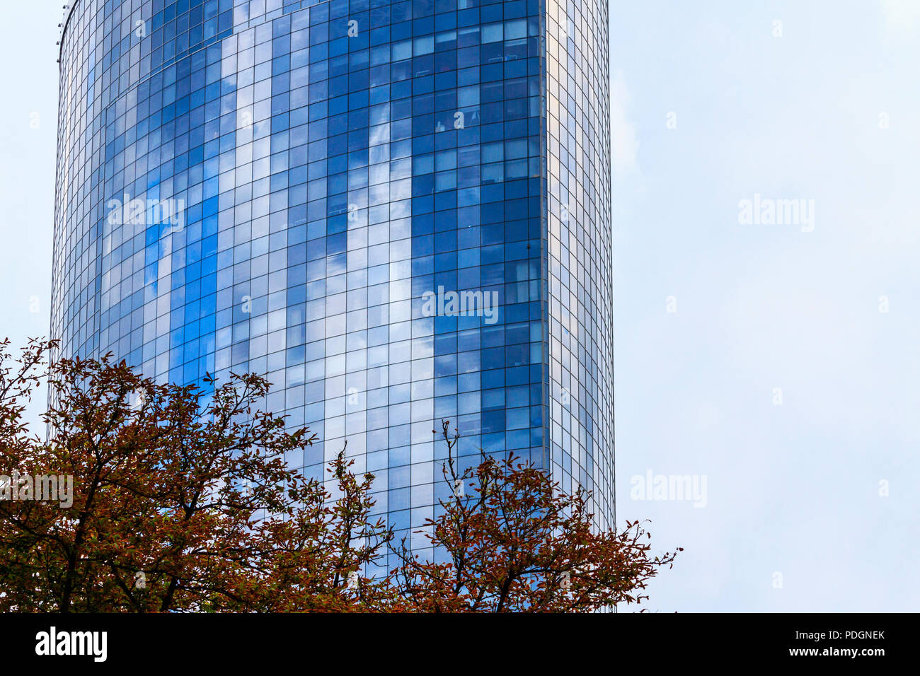 glass skyscraper and autumn tree, architecture, place of work Stock ...