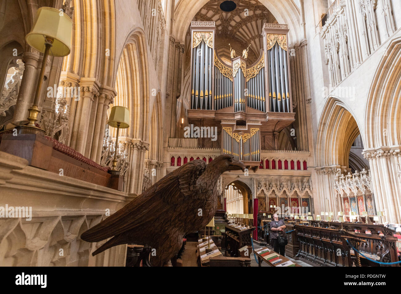 The lecturn and organ in the Quire of Wells cathedral Stock Photo - Alamy