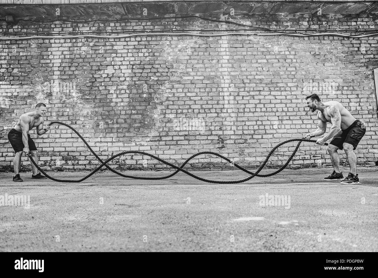 Two muscular athletes training, working out with rope in front of brick ...