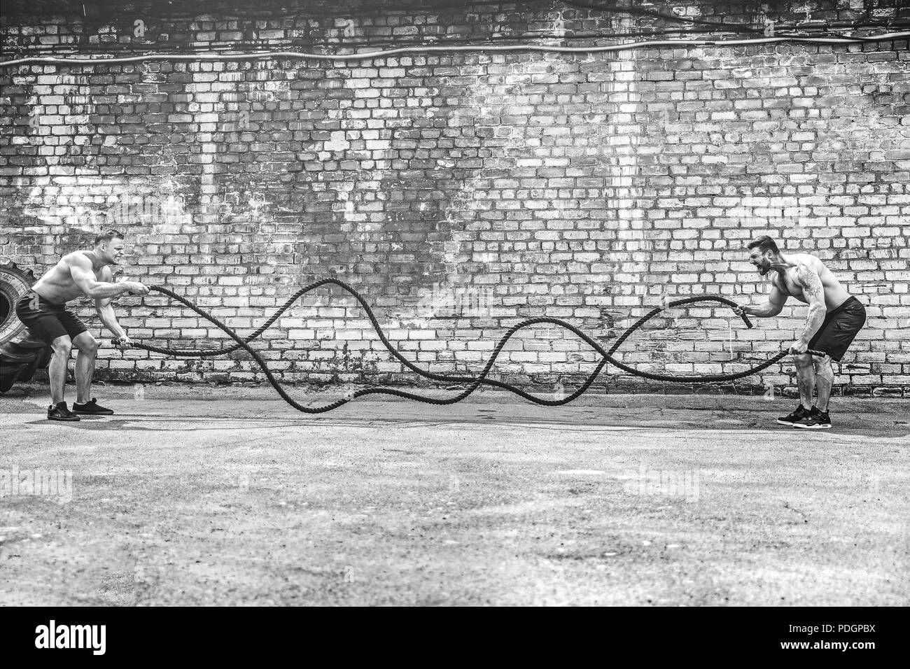 Two muscular athletes training, working out with rope in front of brick ...