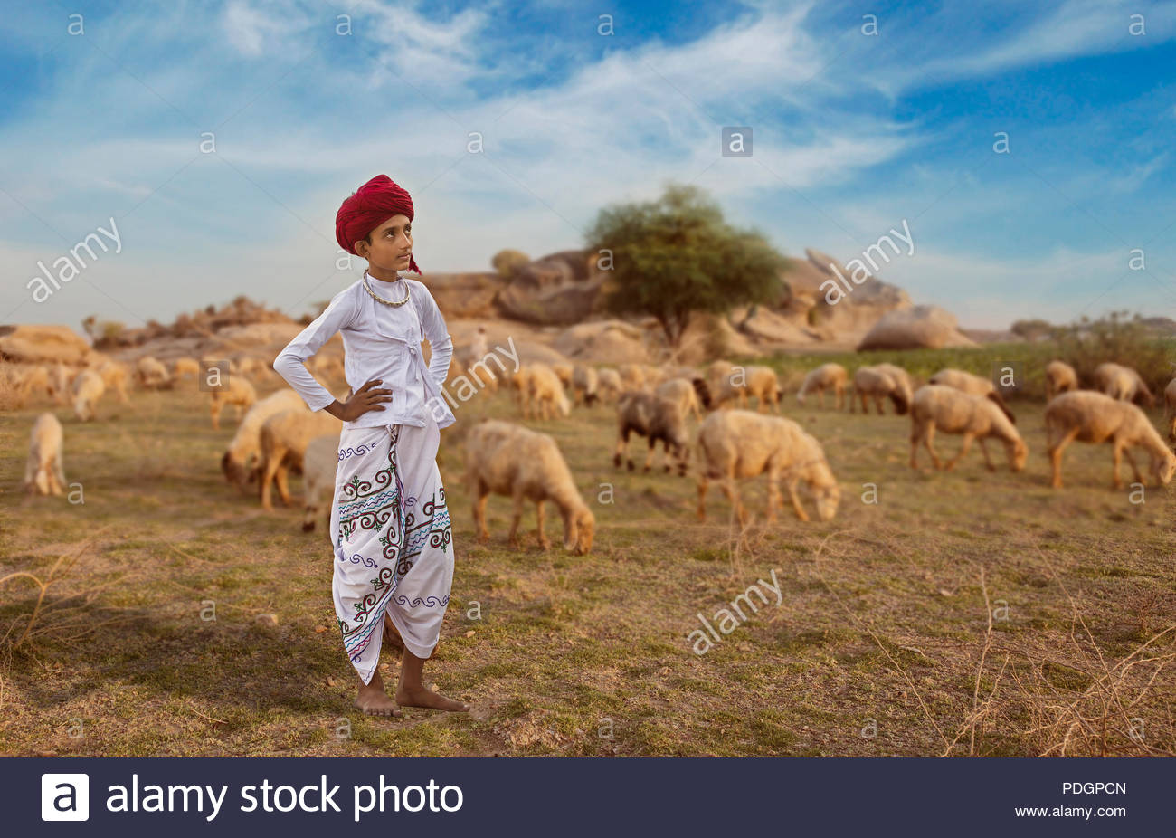 Indian Shepherd Boy High Resolution Stock Photography and Images - Alamy