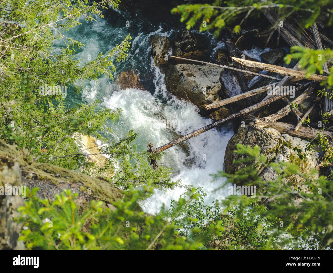 Downed branches hi-res stock photography and images - Alamy