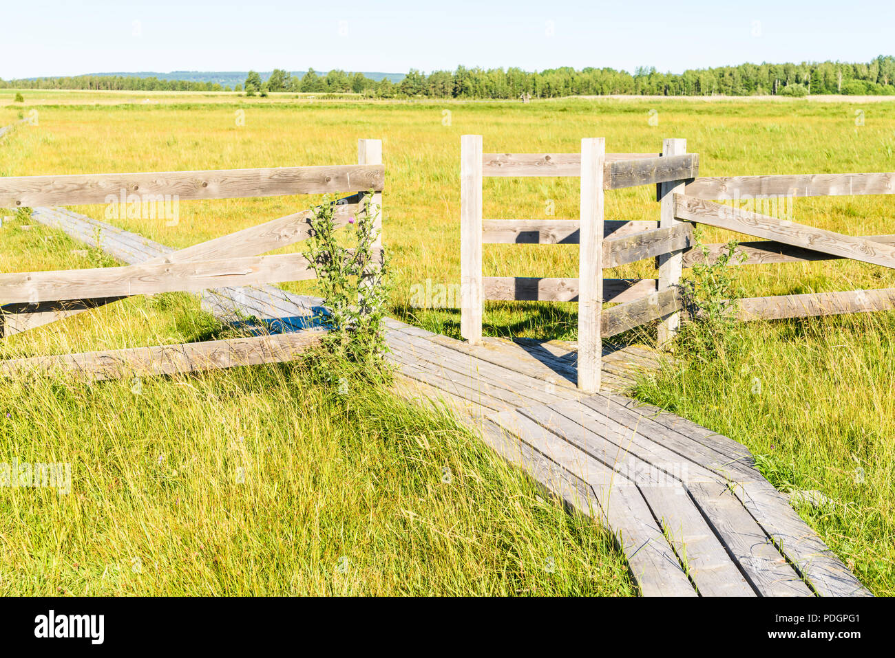 Hiking trail passage on beach meadow. The gate itself is missing from ...
