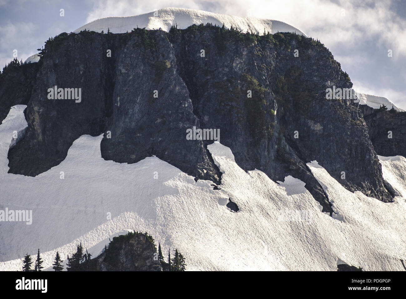 Zoomed in hi-res stock photography and images - Alamy