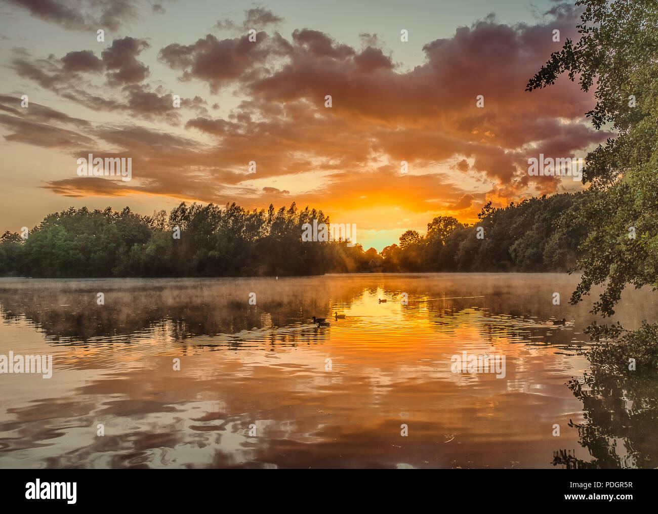 Broadwater lake hi-res stock photography and images - Alamy
