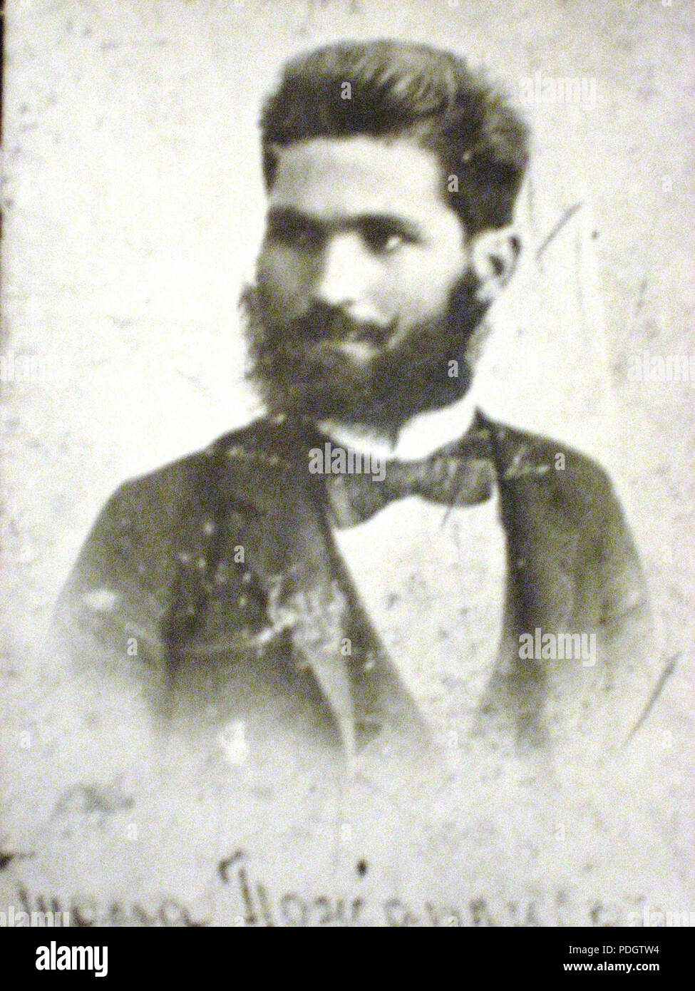 Toma© hi-res stock photography and images - Alamy