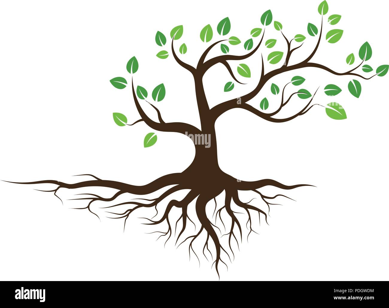 Roots tree vector vectors hi-res stock photography and images - Alamy