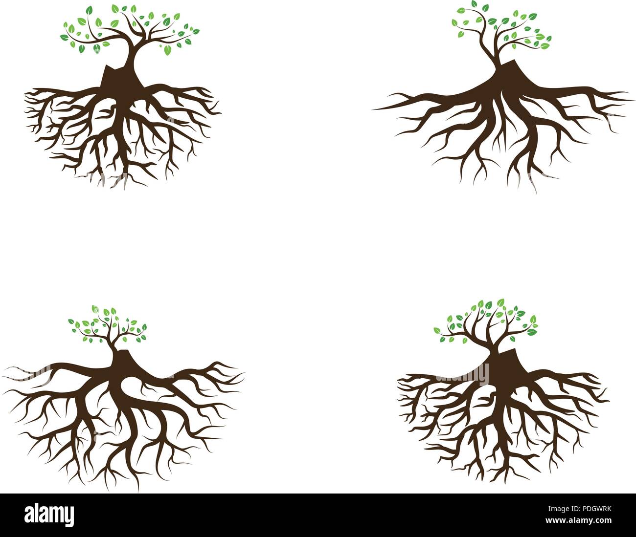 Roots root Stock Vector Images - Alamy
