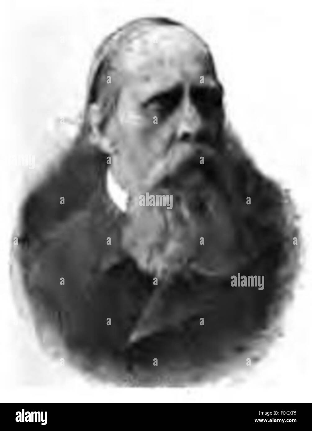 227 Mikhail Saltykov-Shchedrin Stock Photo - Alamy