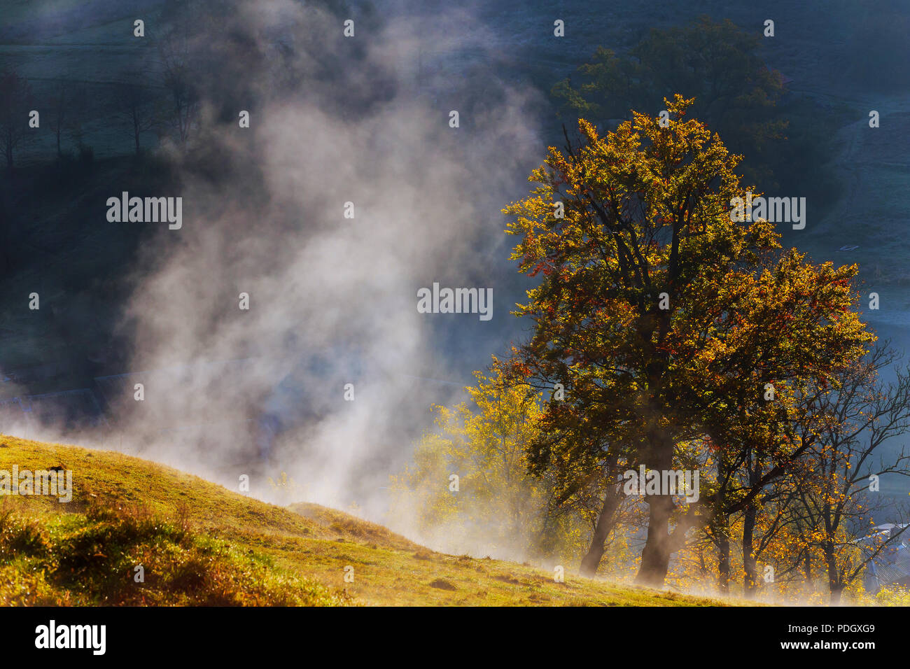 Frosty cold morning fog with hot sunrise in conifer forest in mountains ...