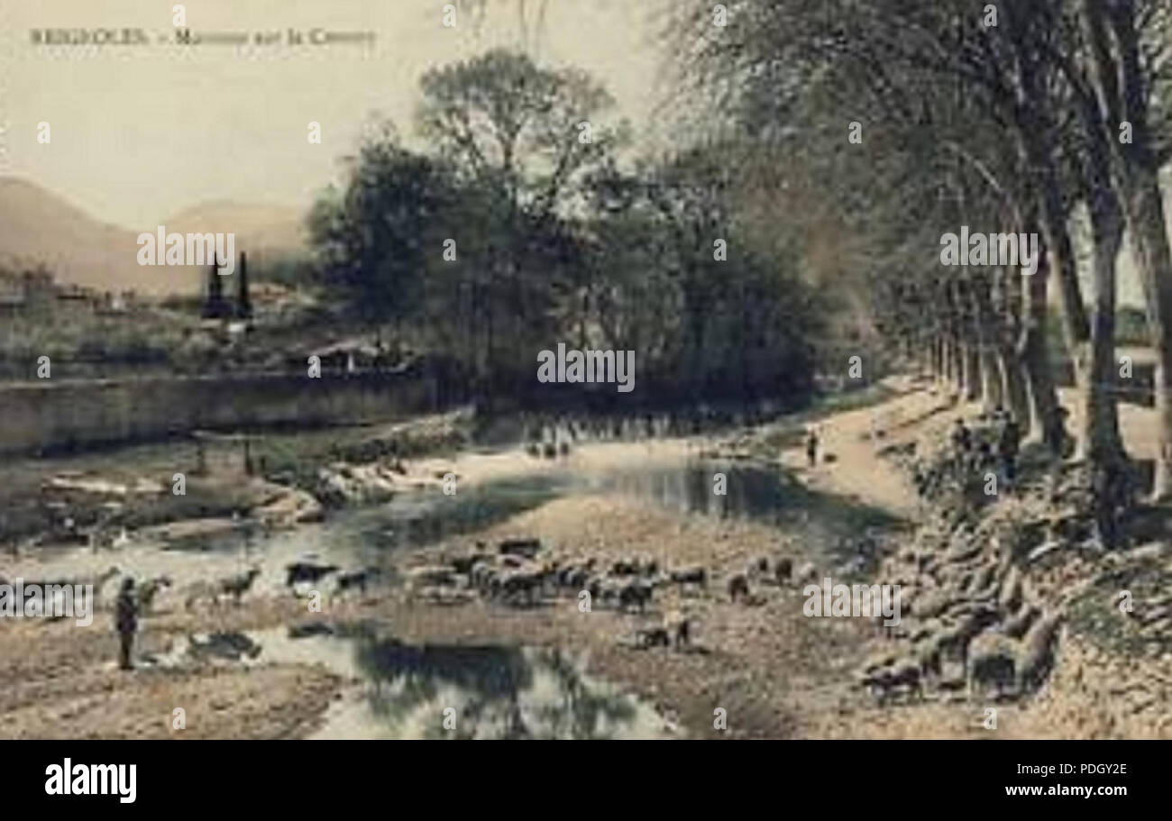 230 Moutons pâturant sur les rives du Caramy Var Stock Photo - Alamy