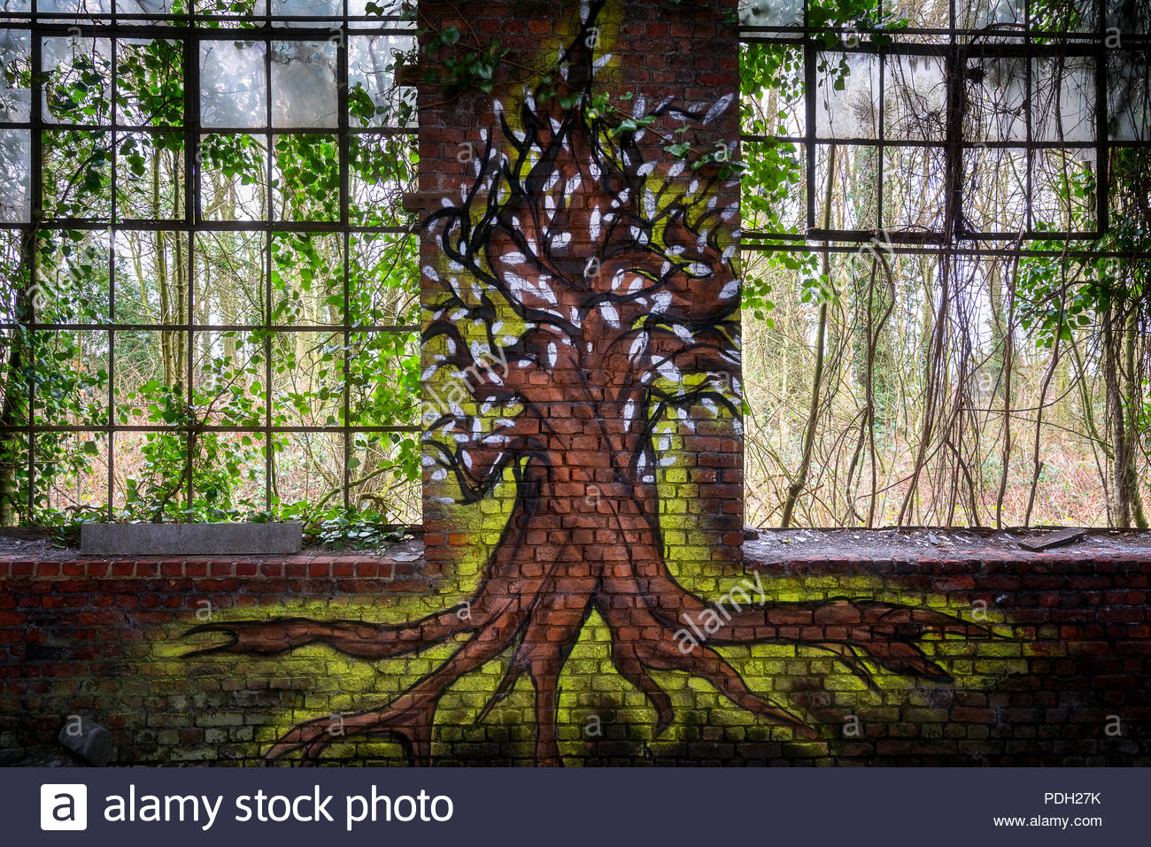 Decaying interior of an abandoned building with peeling paint and ...