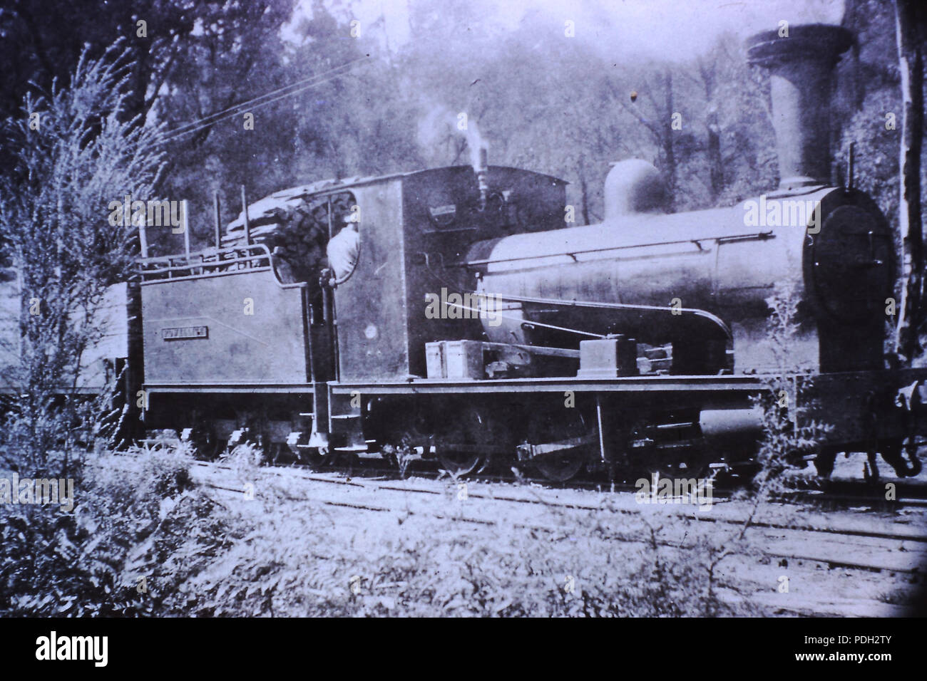 Powelltown tramway hi-res stock photography and images - Alamy