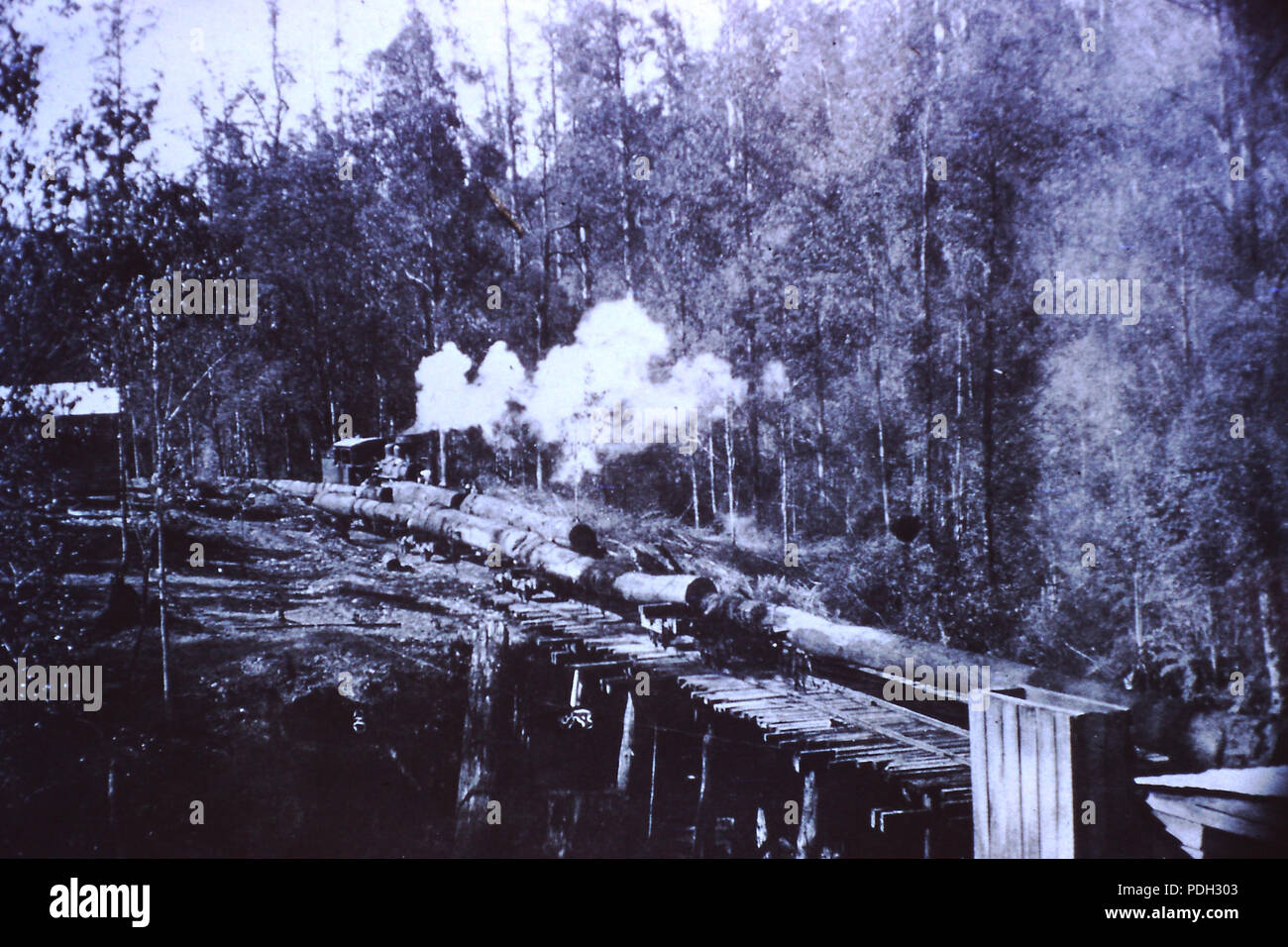 Powelltown tramway hi-res stock photography and images - Alamy