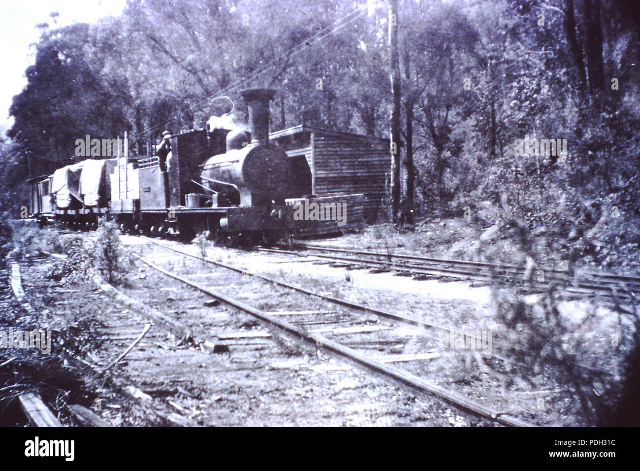 98 Powelltown tramway at Blacksands 1939 Stock Photo - Alamy