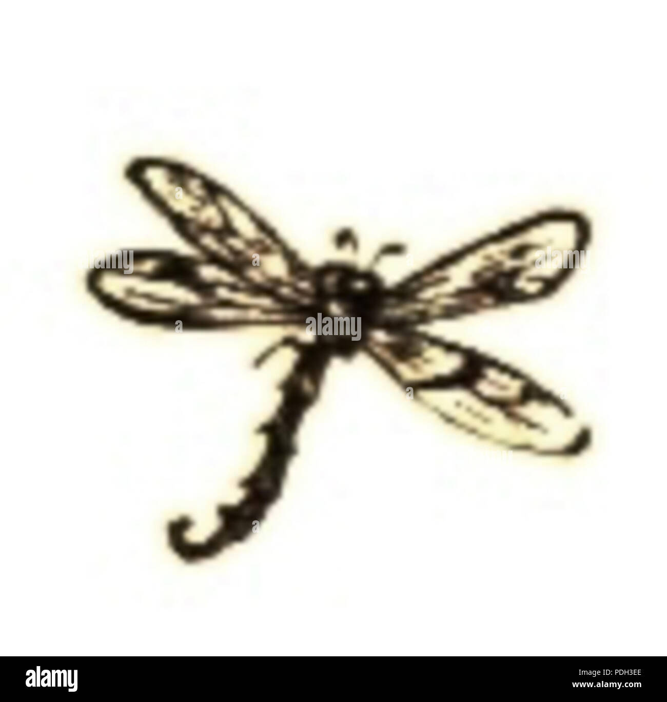 261 PL Artur Oppman - Pieśni no038b Stock Photo - Alamy