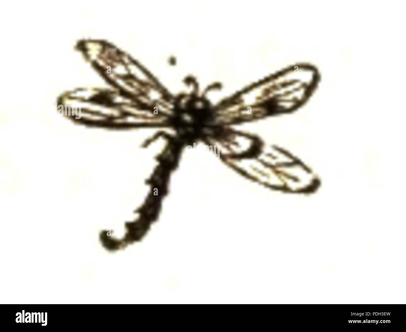 Oppman hi-res stock photography and images - Alamy