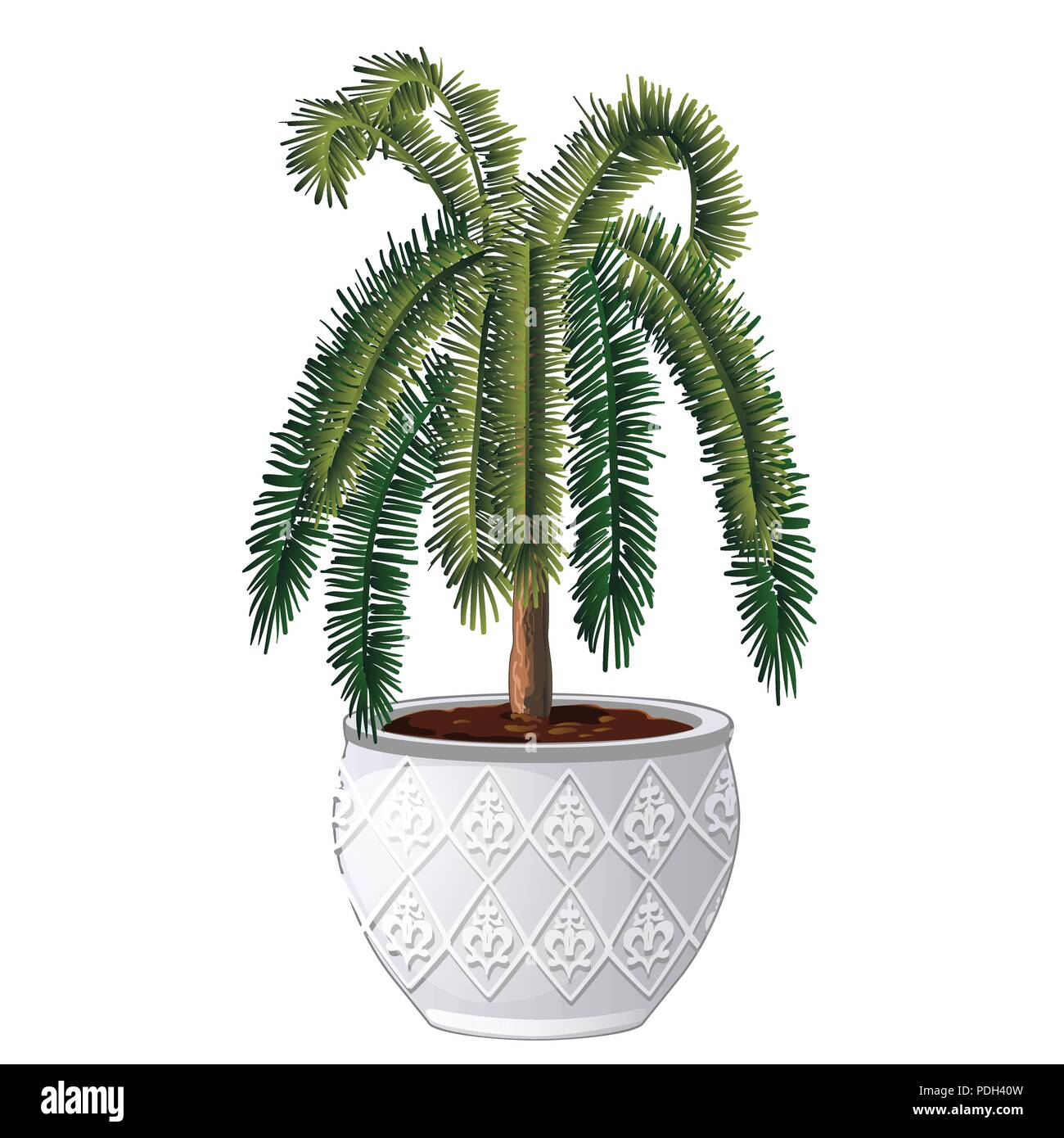 Office palm tree isolated on white background. Vector cartoon close-up ...