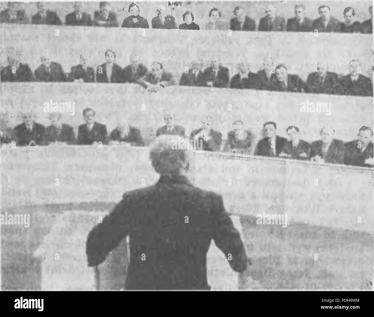 Wilczur hi-res stock photography and images - Alamy