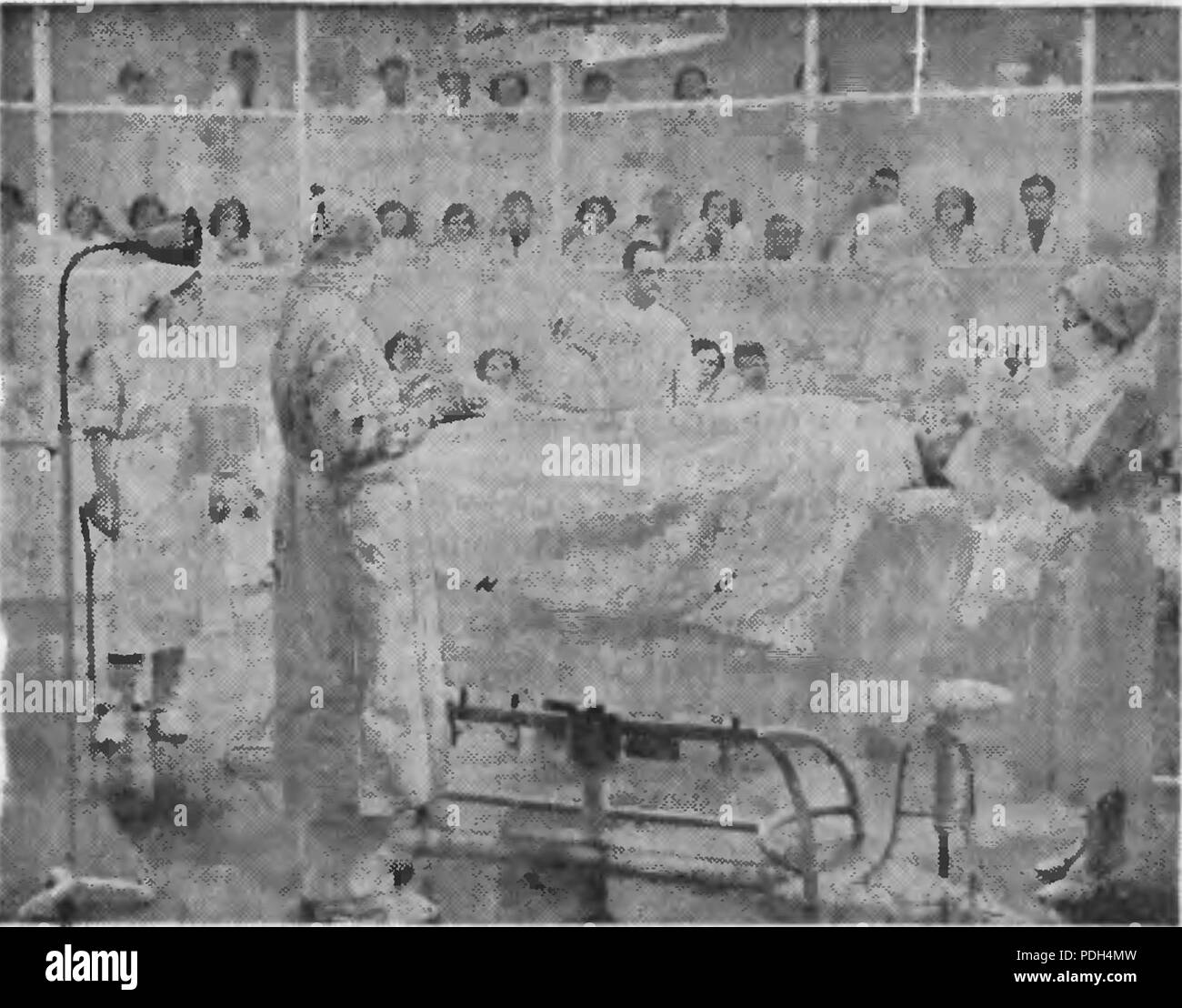 Wilczur hi-res stock photography and images - Alamy