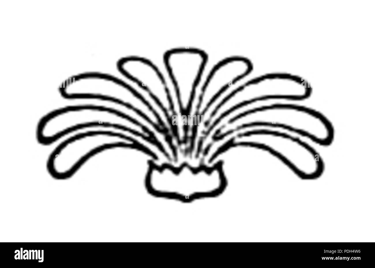 Hassana hi-res stock photography and images - Alamy