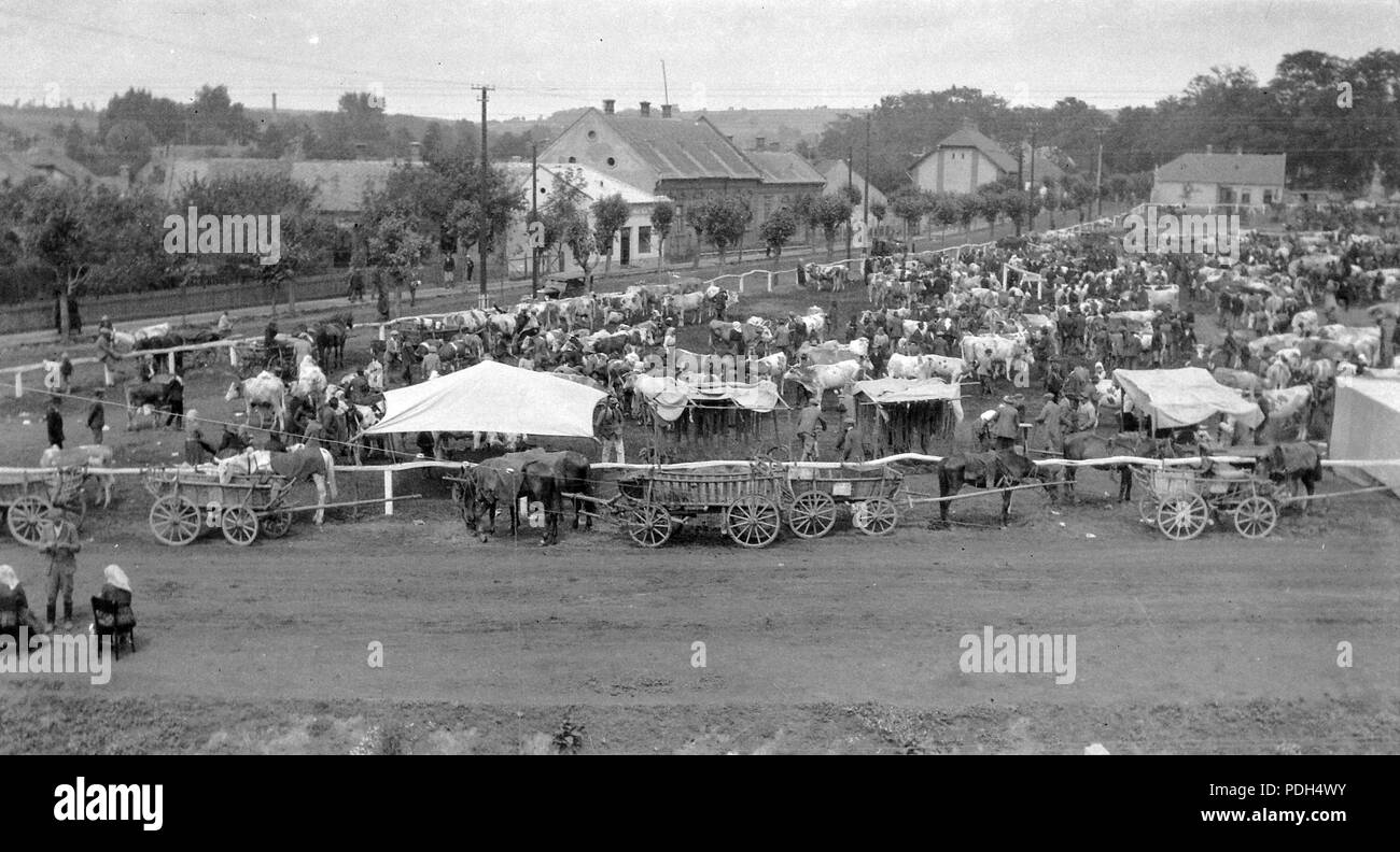 3 Chariot, horse, market, animal fair Fortepan 4642 Stock Photo - Alamy