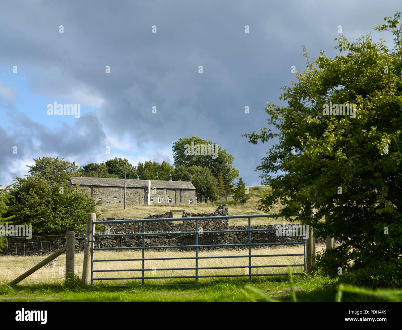 Noon Stone Farm. A typical Dales farmhouse set in Nidderdale Stock ...