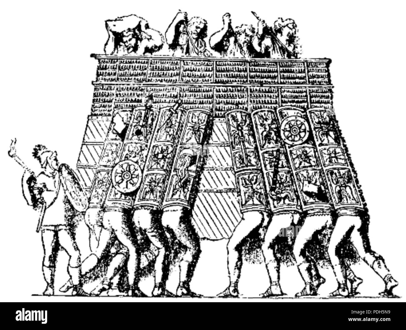 Testudo Black and White Stock Photos & Images - Alamy